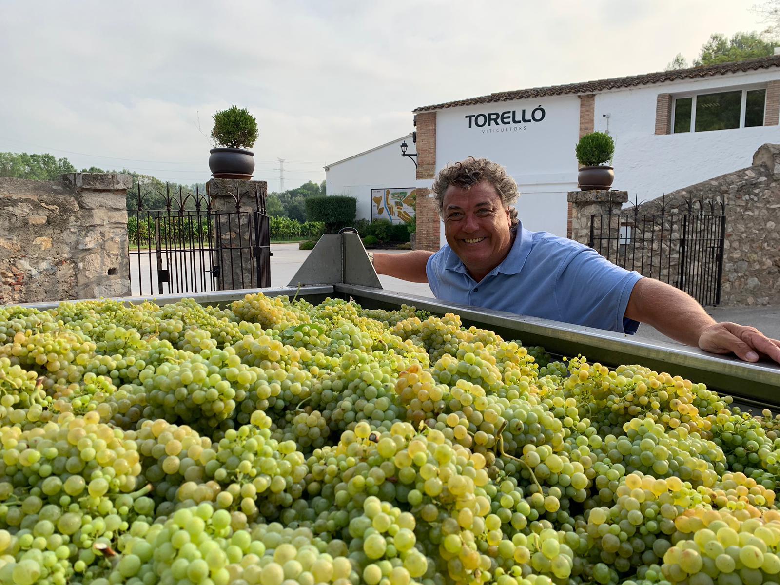 Blog de Cavas Torelló, ¡A tu salud!